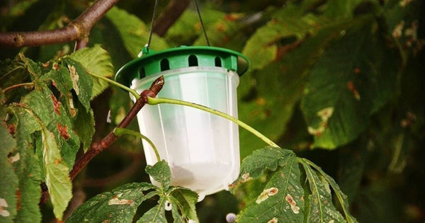 Trap, Monitor, & Clear Pest Infestations - Dragonfli