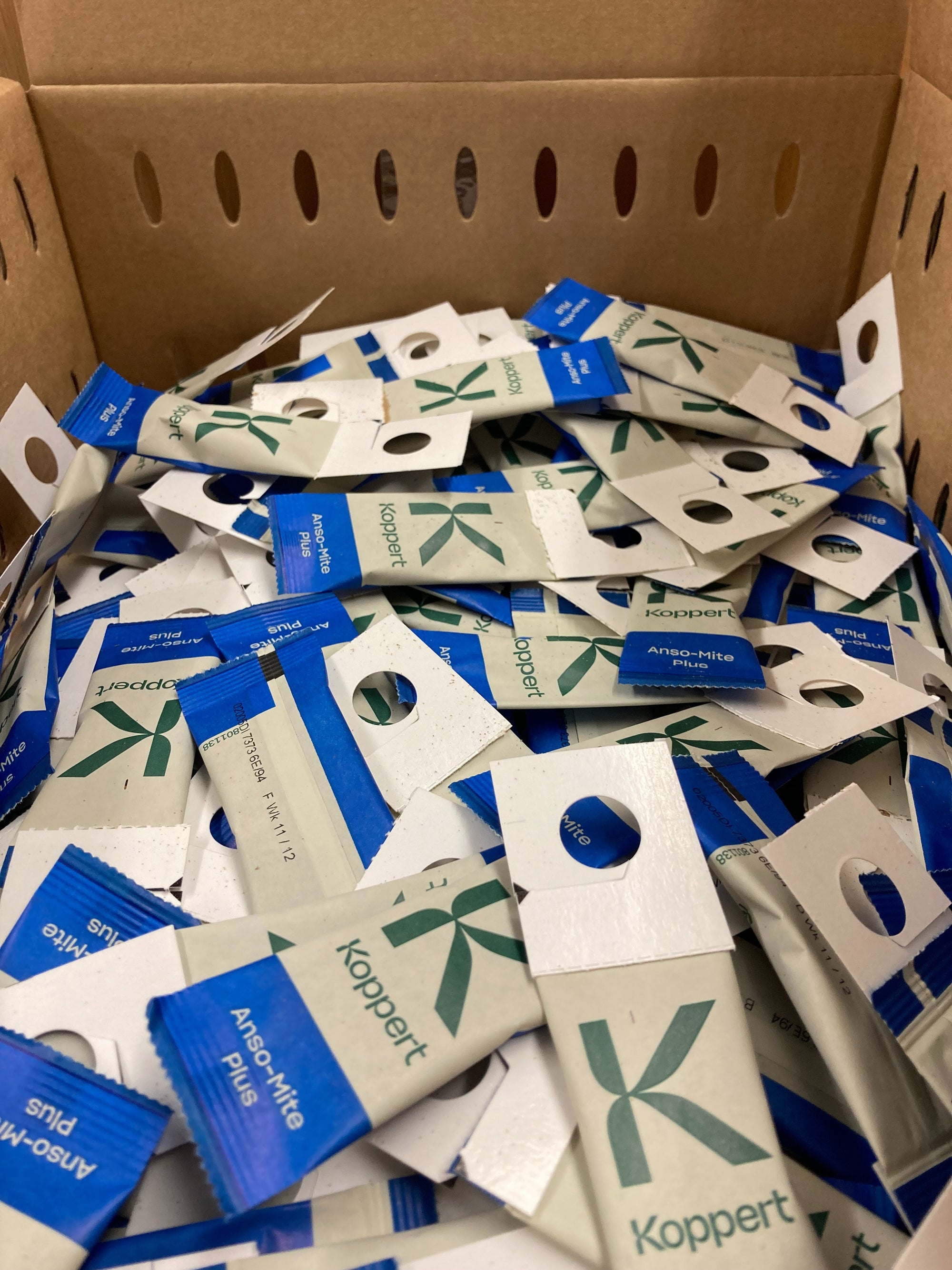 Amblyseius andersoni Sachets - Cold Tolerant Predatory Mites - Use Aga ...