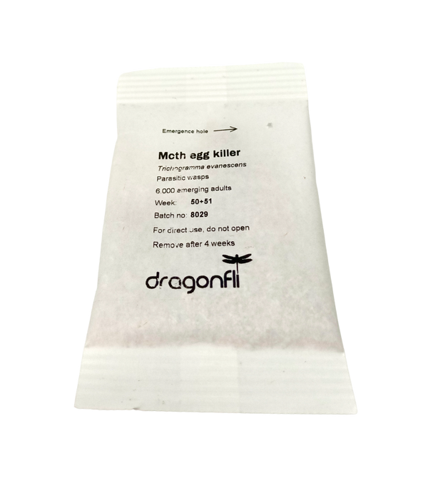 Clothes Moth Egg Killer Sachets - Trichogramma Parasitic Wasps - Dragonfli