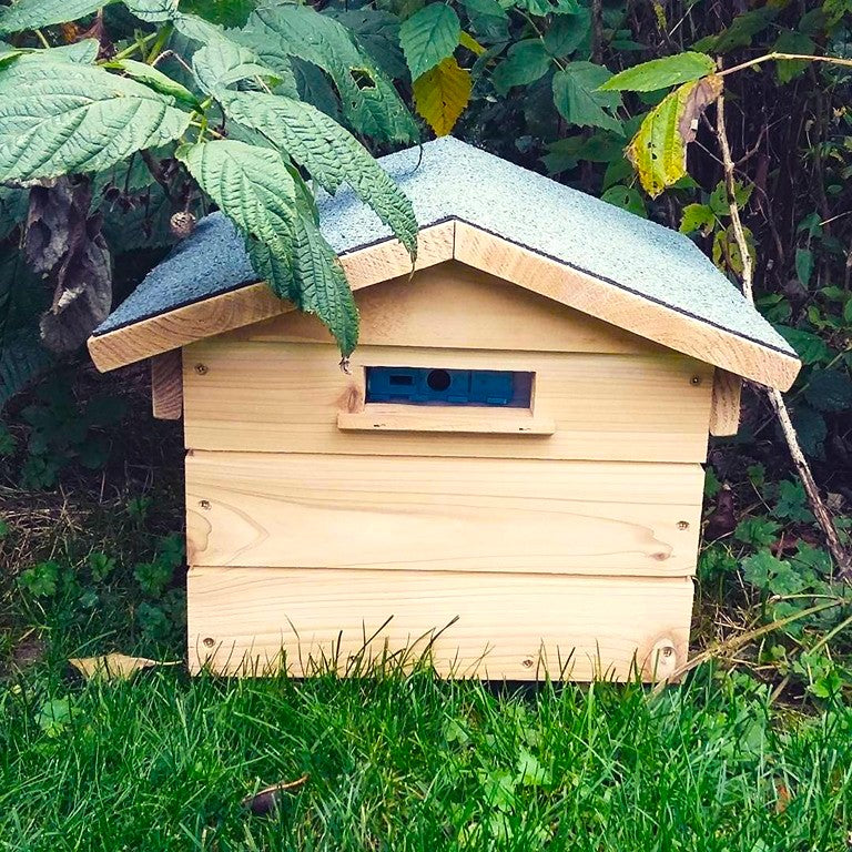 Bumble Bee Nest Box